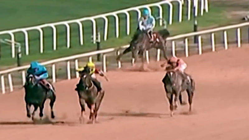 Ayağı kırılan atının başında ağlayan jokey: Göz göze geldiğimizde çok ...