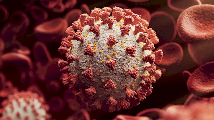 Mutand virüslere karşı etkili aşı ne zaman çıkacak?