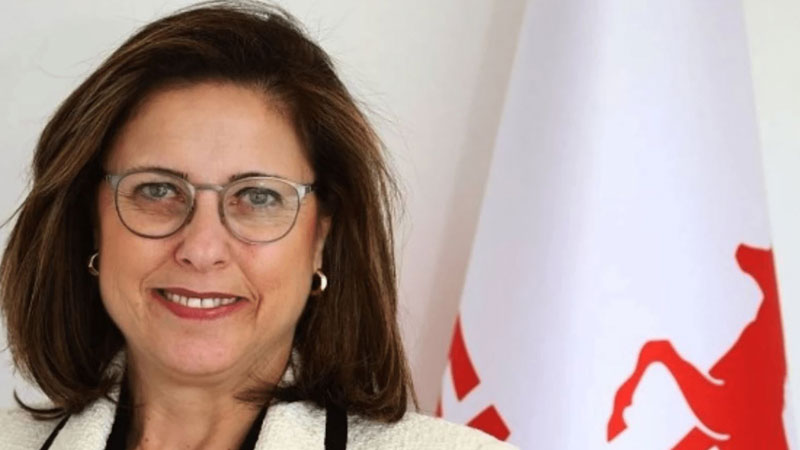 Demokrat Partili İlay Aksoy istifa etti