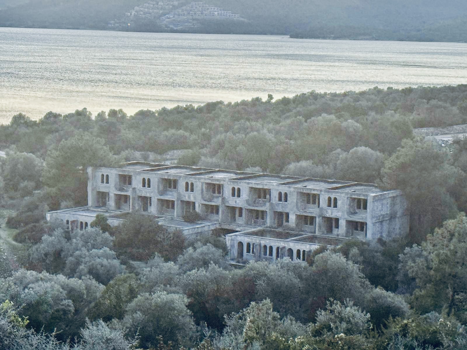 Zeytin kanunu böyle delindi!